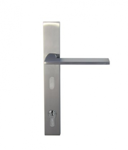 Builders Choice My Lock Lever Sets on Long Plate
